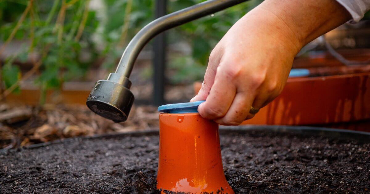 The Best Way to Water Containers - Growing In The Garden