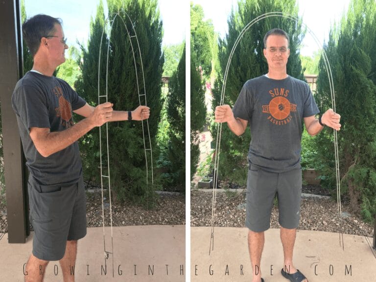 Add Vertical Space in the Garden - Growing In The Garden