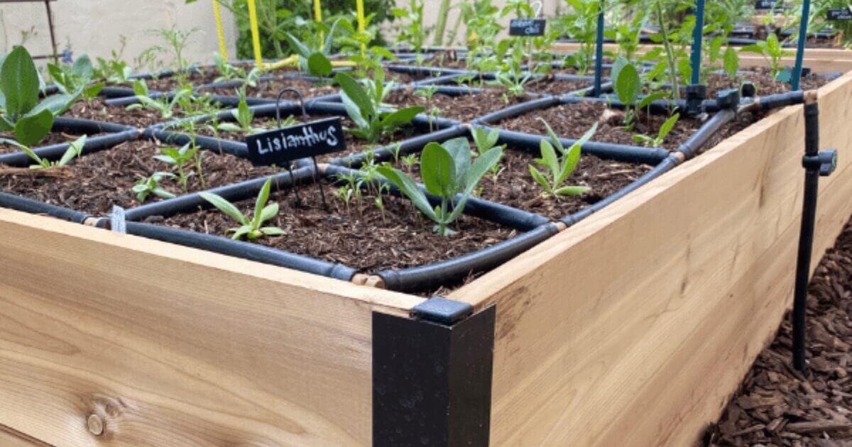 Putting The Bed To Garden DIY Raised Garden Bed Covers To Protect