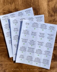 Arizona Vegetable Planting Calendar - Growing In The Garden