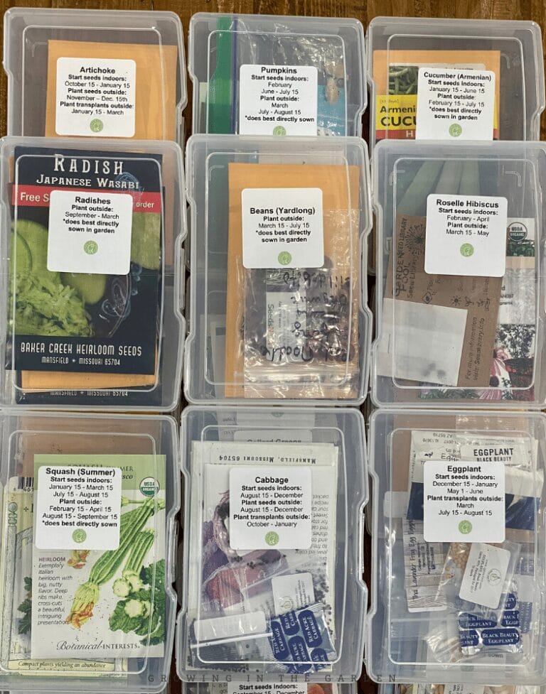 Arizona Vegetable Planting Calendar - Growing In The Garden