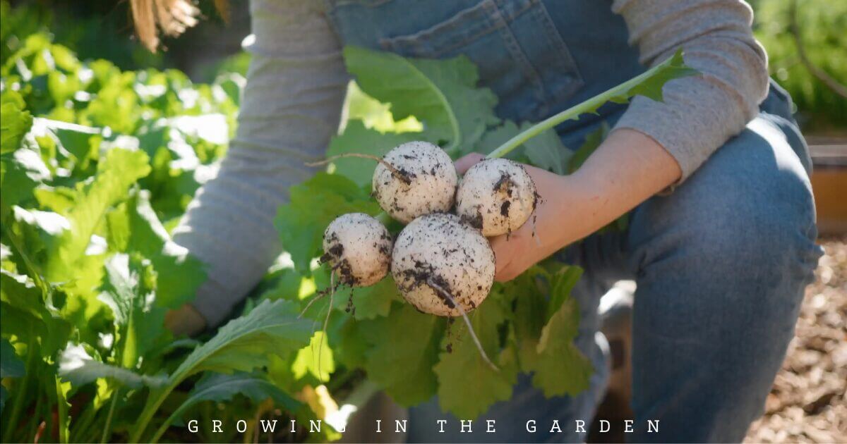 Tips for Spring Planting - Spring Garden Checklist - Growing In The Garden