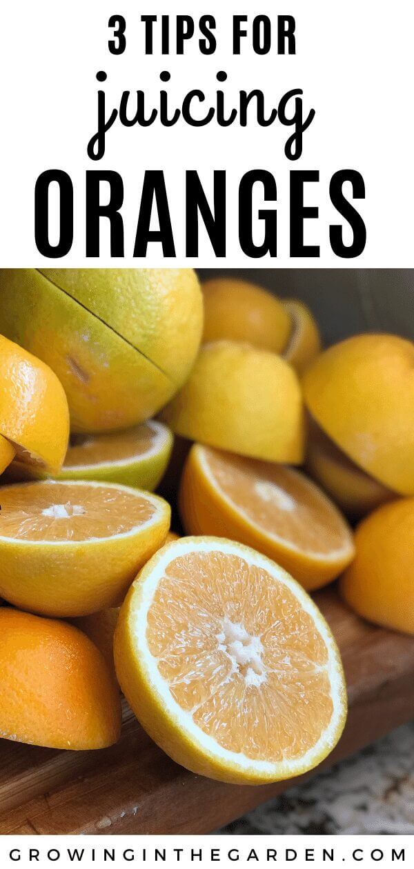 3 Tips for Juicing Oranges: How To Juice Citrus - Growing In The Garden