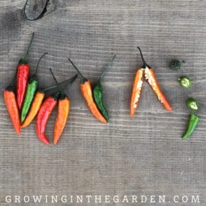16 Types of Peppers & Pepper Varieties to Grow at Home - Growing In The ...