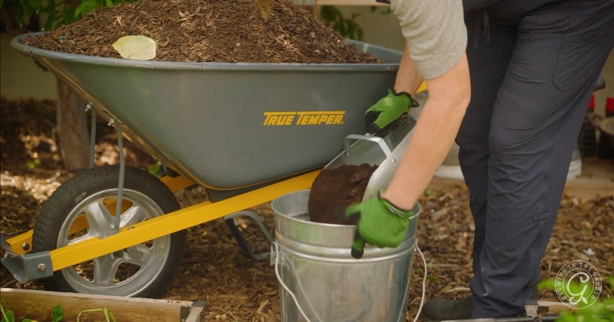 How to Compost: A Step-by-Step Guide - Growing In The Garden