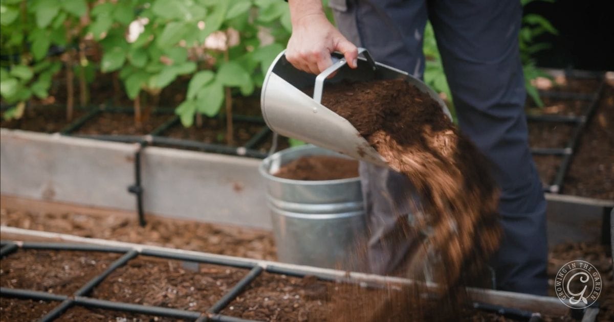 How to Compost: A Step-by-Step Guide - Growing In The Garden