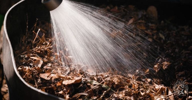How to Compost: A Step-by-Step Guide - Growing In The Garden