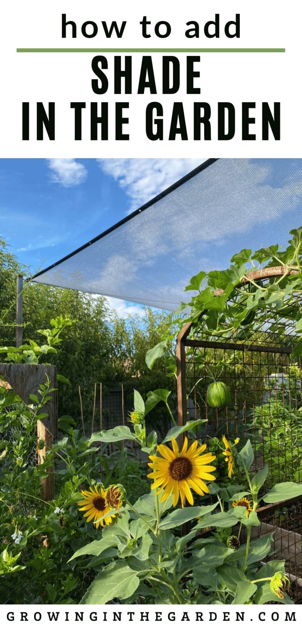 How to Create Shade in the Garden - Growing In The Garden