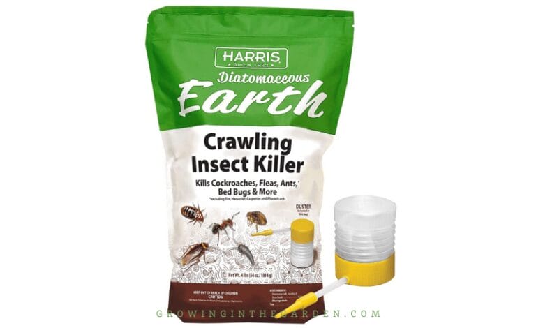 5 Ways to Keep Pill Bugs from Destroying Your Garden - Growing In The ...