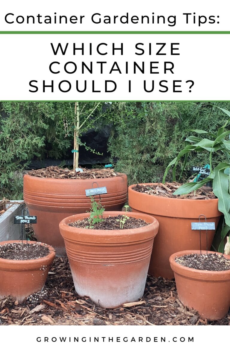 Guide to Container Sizes: Which Size Container Should I Use? - Growing ...