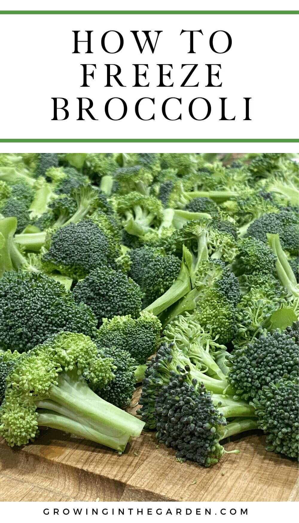 How to Freeze Broccoli - Growing In The Garden
