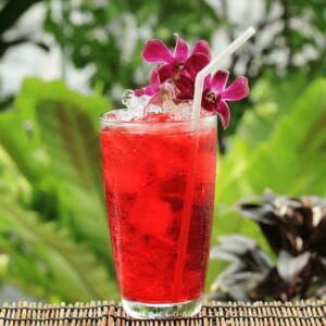 How to Use Roselle Hibiscus: 5 Tasty Recipes - Growing In The Garden