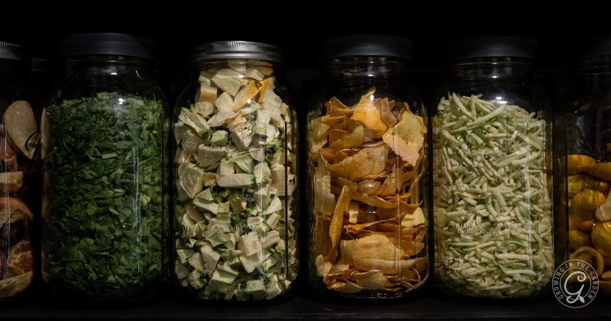 Freeze Drying: Tips & FAQs - Growing In The Garden