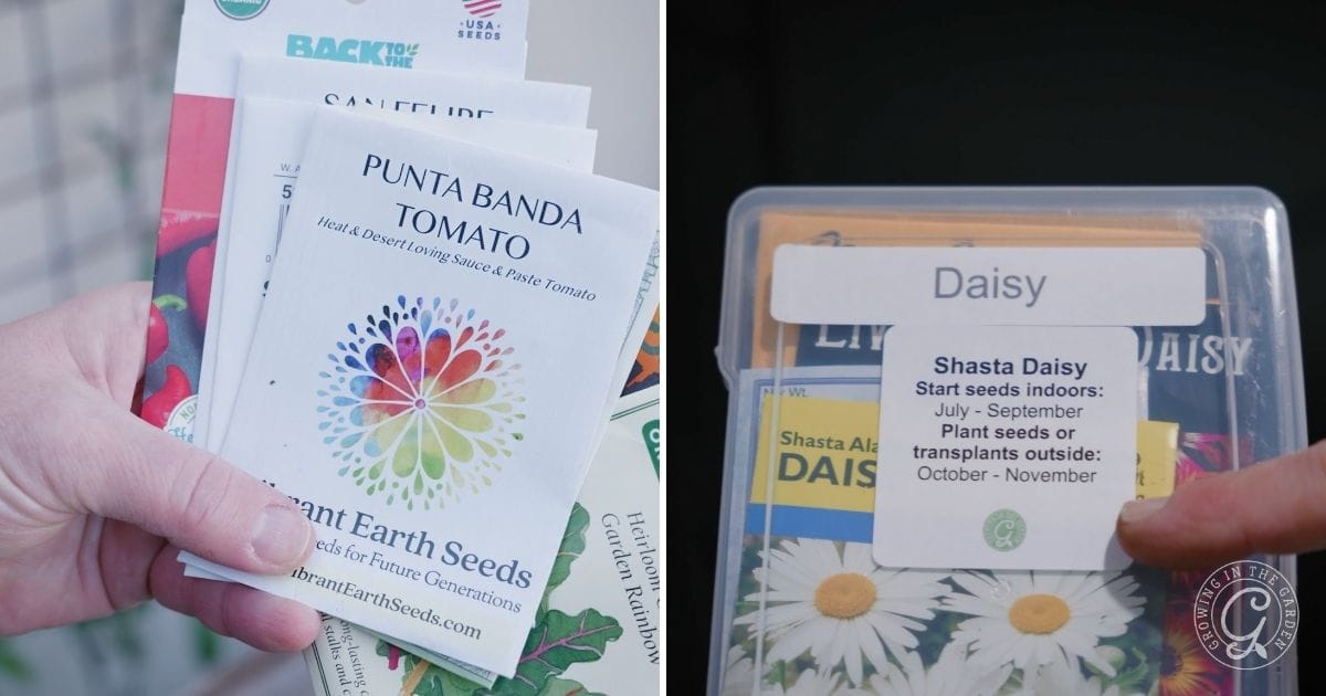 Seed Storage: The Best Way to Store and Organize Seeds - Growing In The ...