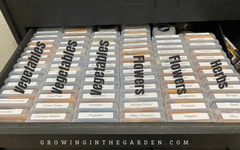 Seed Storage & Organization Tips - Growing In The Garden