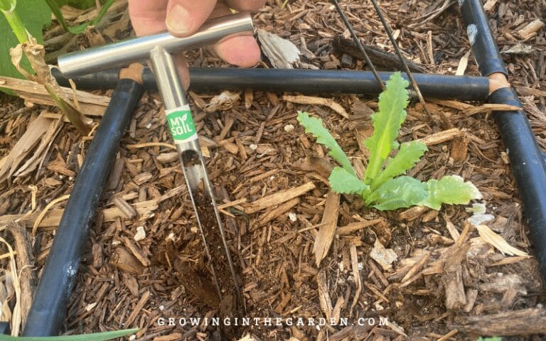 Soil Testing: When & How to Test Your Soil - Growing In The Garden