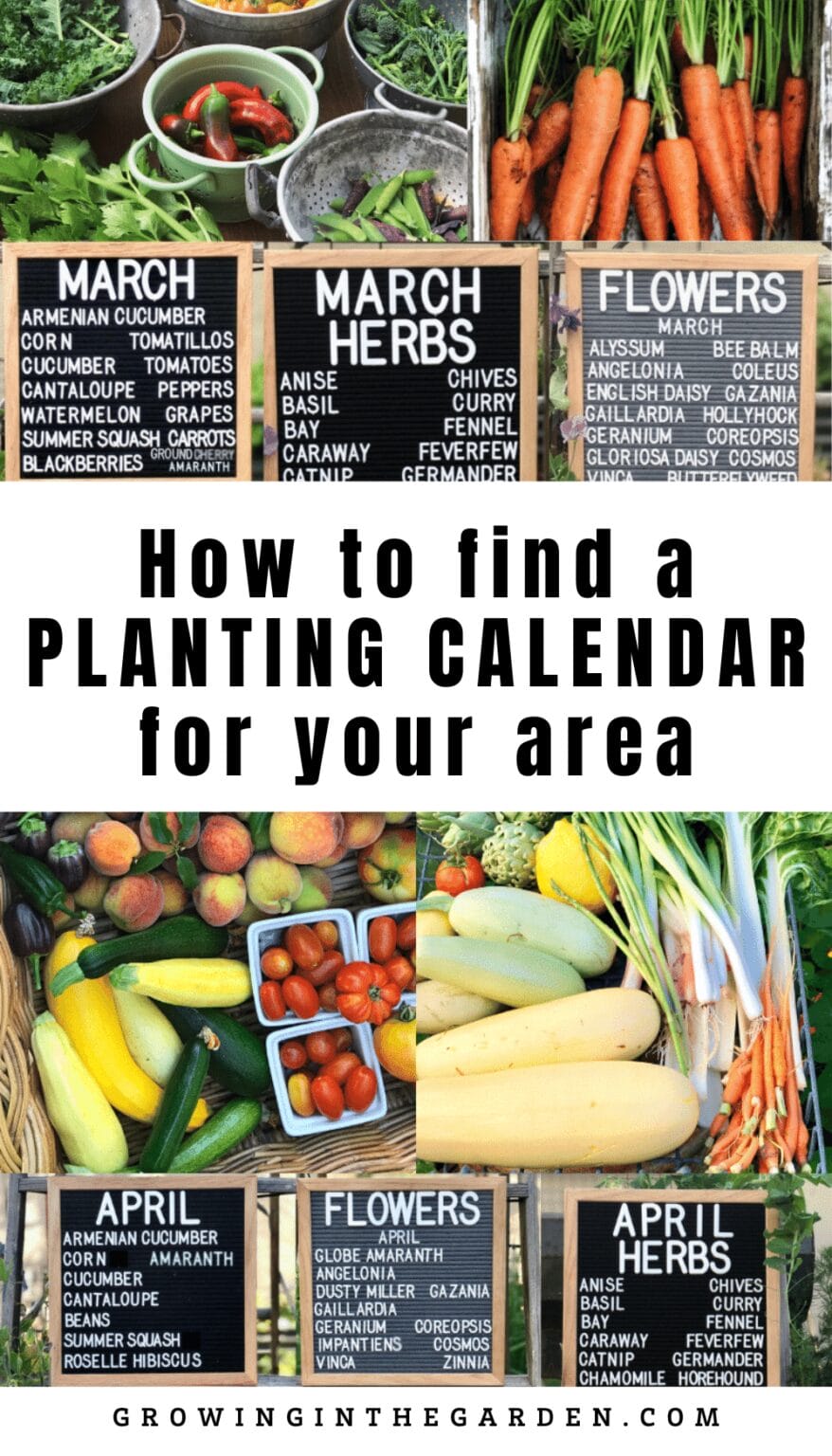 When to Plant Your Garden: How to Find a Planting Calendar for Your ...