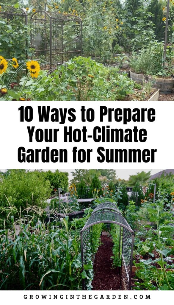 10 Ways to Prepare Your Hot-Climate Garden for Summer - Growing In The ...