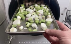 What To Do When Onions Bolt - Growing In The Garden