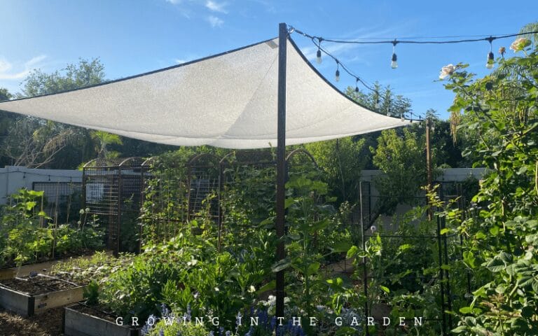 Adding Shade Cloth to a Hot Summer Garden - Growing In The Garden