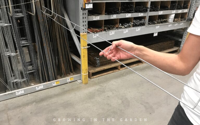Add Vertical Space in the Garden - Growing In The Garden