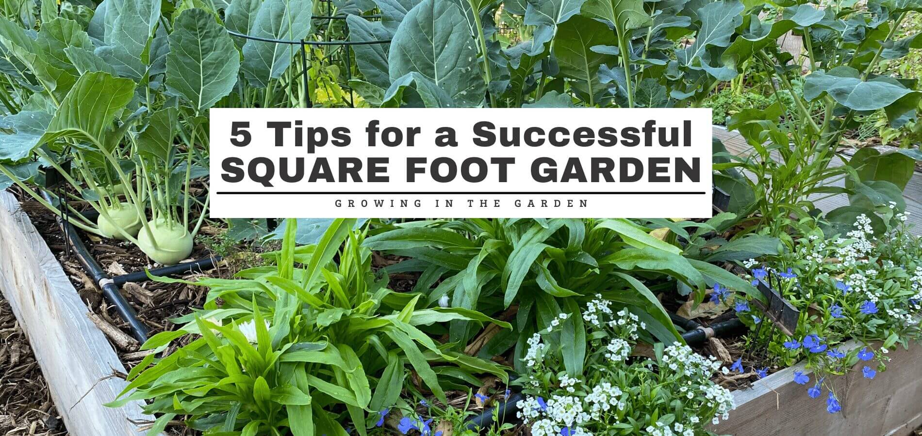 5 Tips for a Successful Square Foot Garden - Growing In The Garden