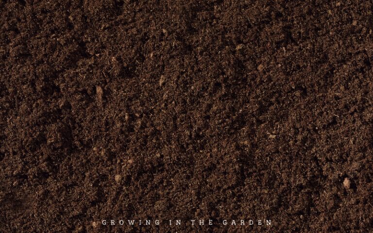 5 Tips for a Successful Square Foot Garden - Growing In The Garden