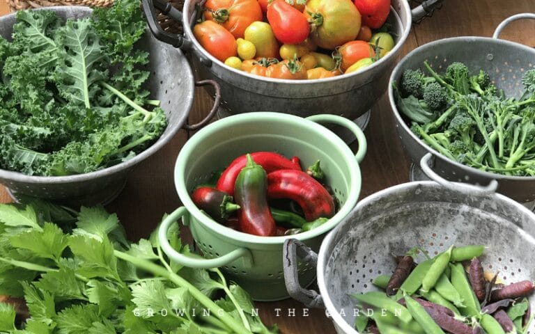 My Favorite Crop Varieties - Growing In The Garden