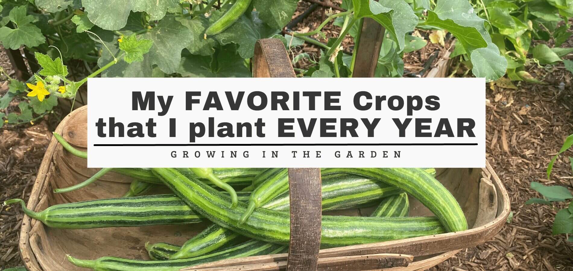 My Favorite Crop Varieties - Growing In The Garden