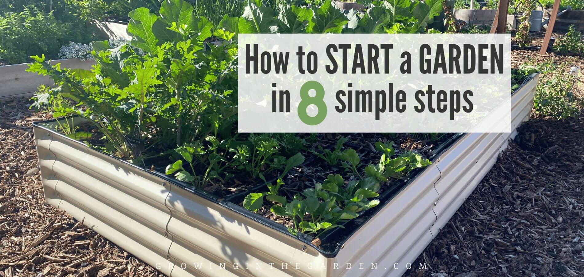 Gardening for Beginners: How to Start a Garden in 8 Simple Steps ...