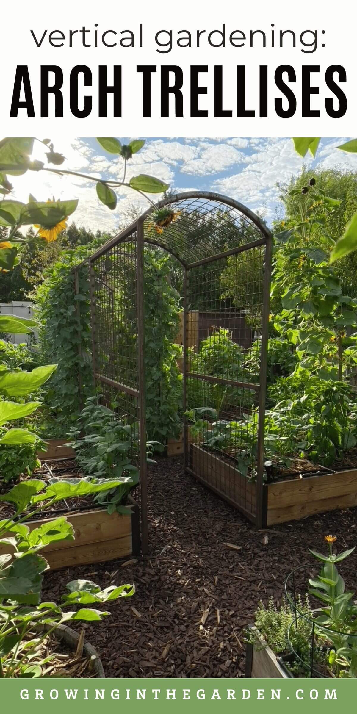 Vertical Gardening: Arch Walkway Trellises - Growing In The Garden