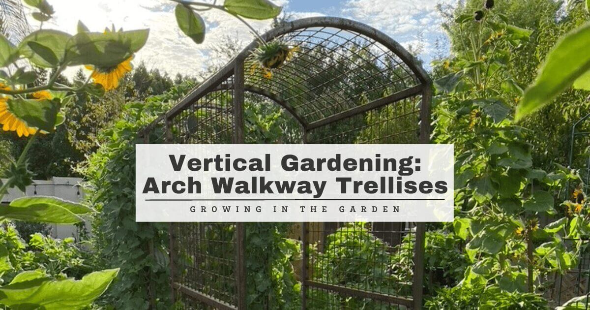 Vertical Gardening: Arch Walkway Trellises - Growing In The Garden