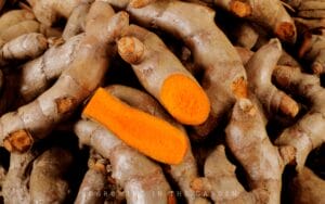 Fast & Easy Ways to Pre-Sprout Ginger & Turmeric - Growing In The Garden