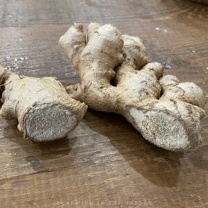 Fast & Easy Ways to Pre-Sprout Ginger & Turmeric - Growing In The Garden