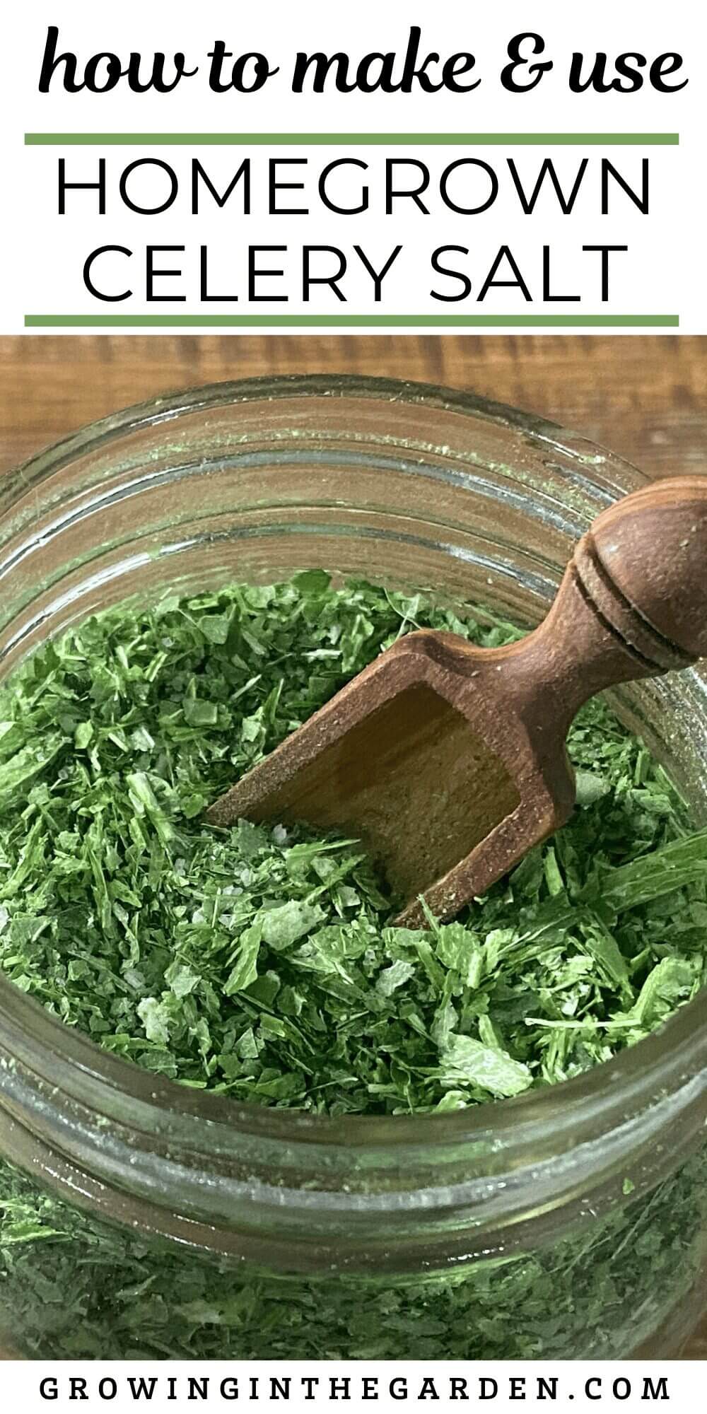 How to Make & Use Celery Salt - Growing In The Garden