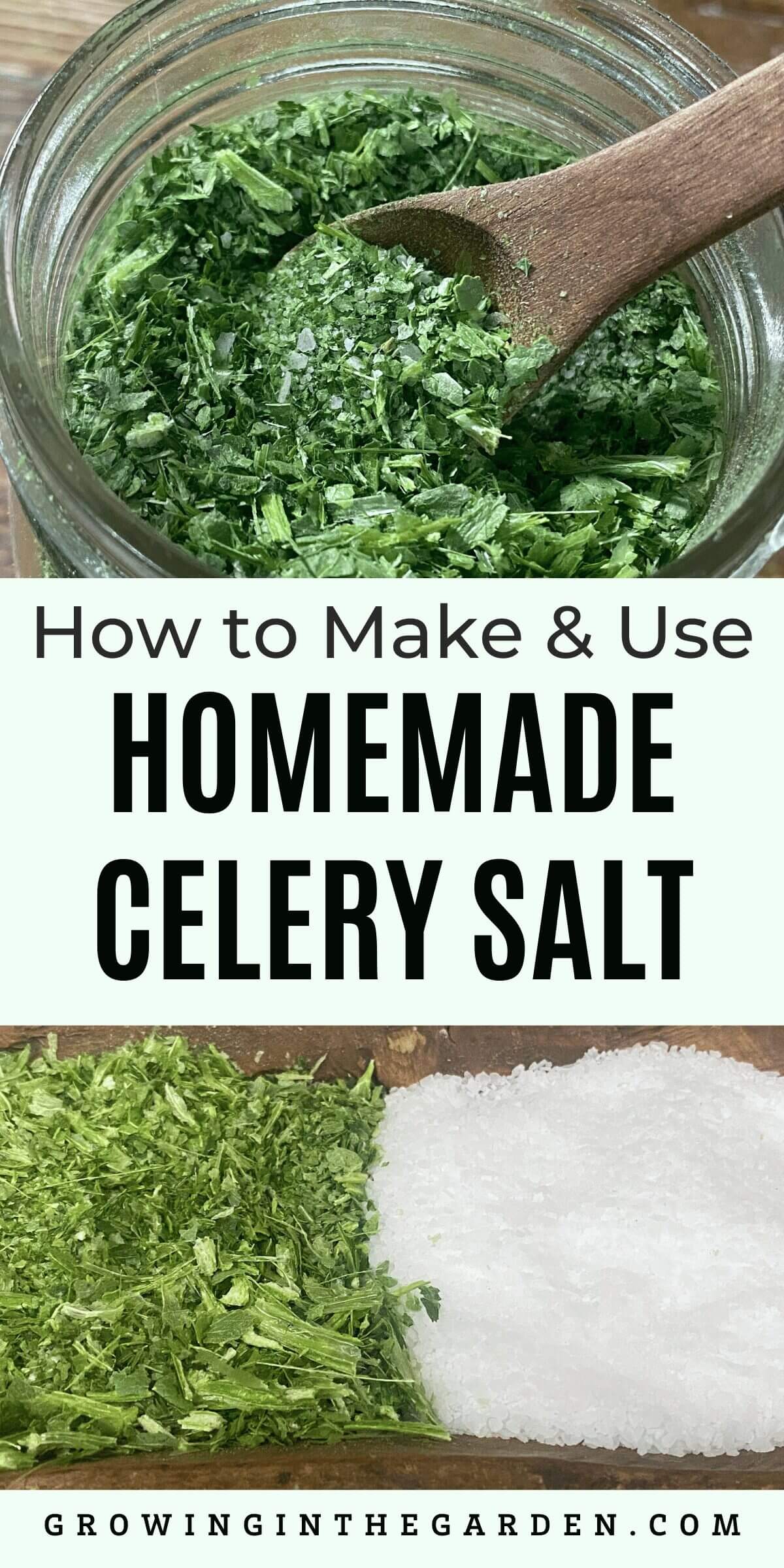 How to Make & Use Celery Salt - Growing In The Garden