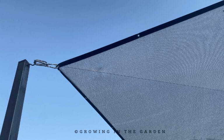 How to Create Shade in the Garden - Growing In The Garden
