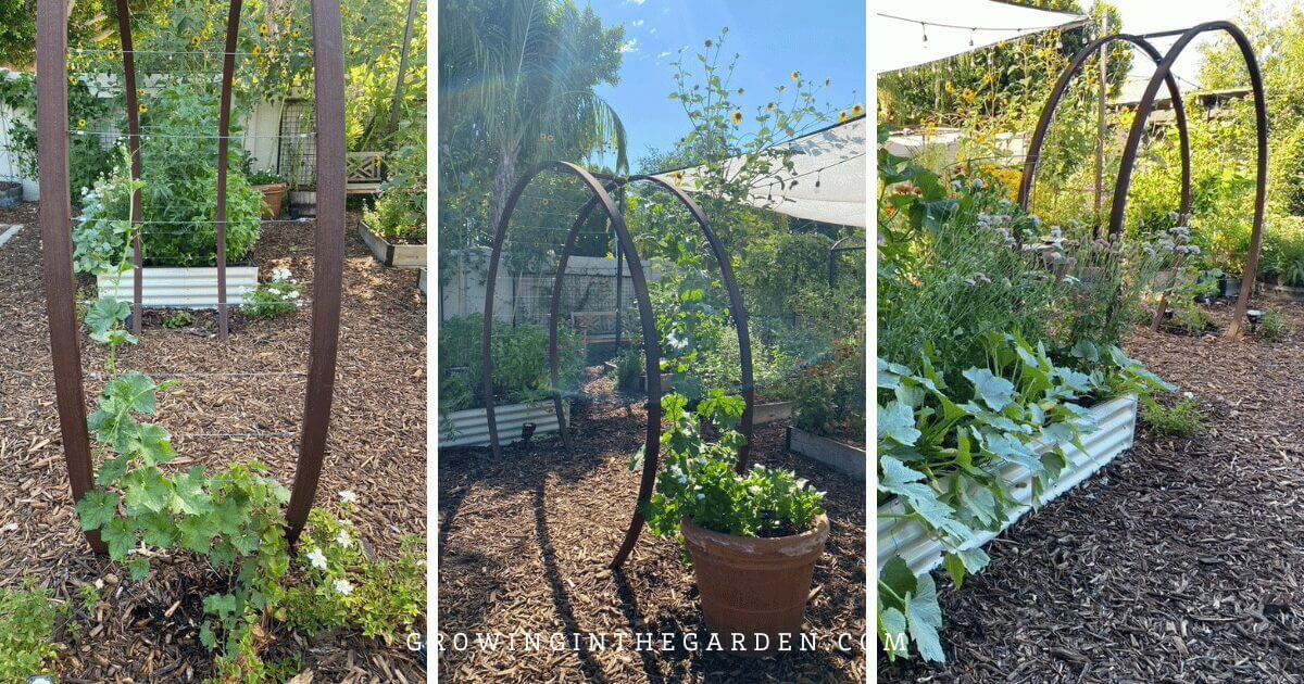 Ten Creative Ideas for Vertical Gardening - Growing In The Garden
