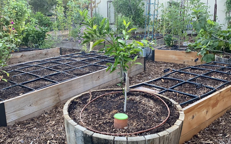 Tips for Spring Planting - Spring Garden Checklist - Growing In The Garden