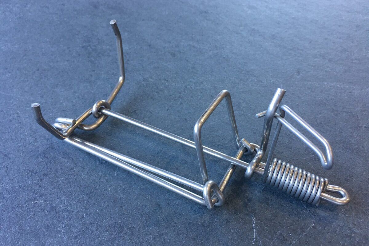 5 Steps to Get Rid of Gophers in the Garden - Growing In The Garden