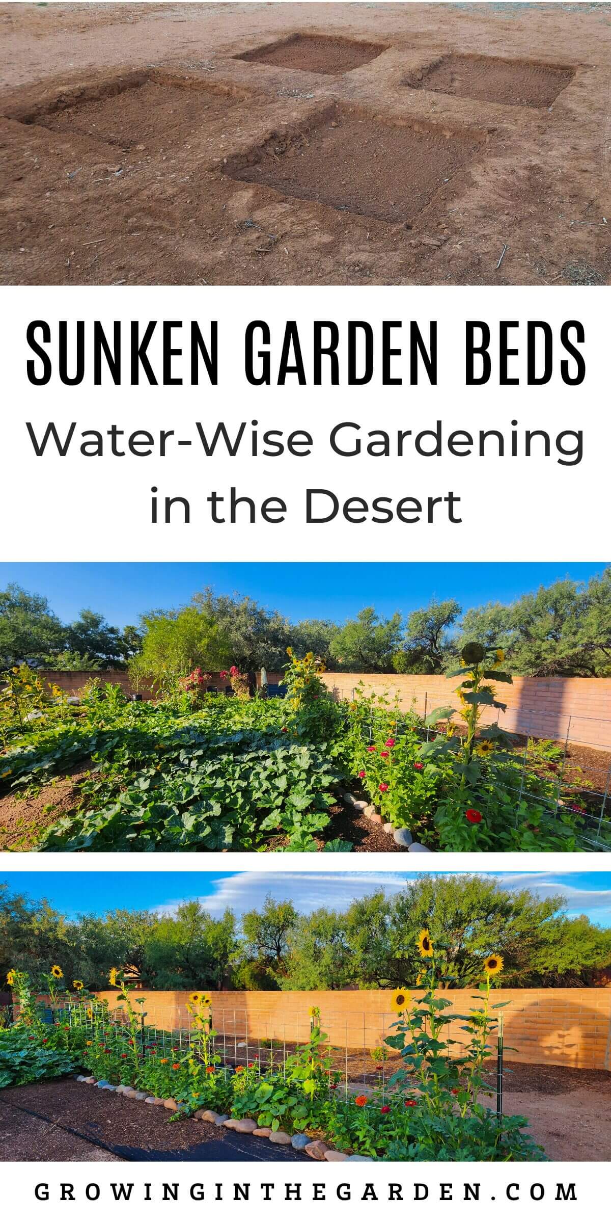 Sunken Garden Beds: Water-Wise Gardening in the Desert - Growing In The ...