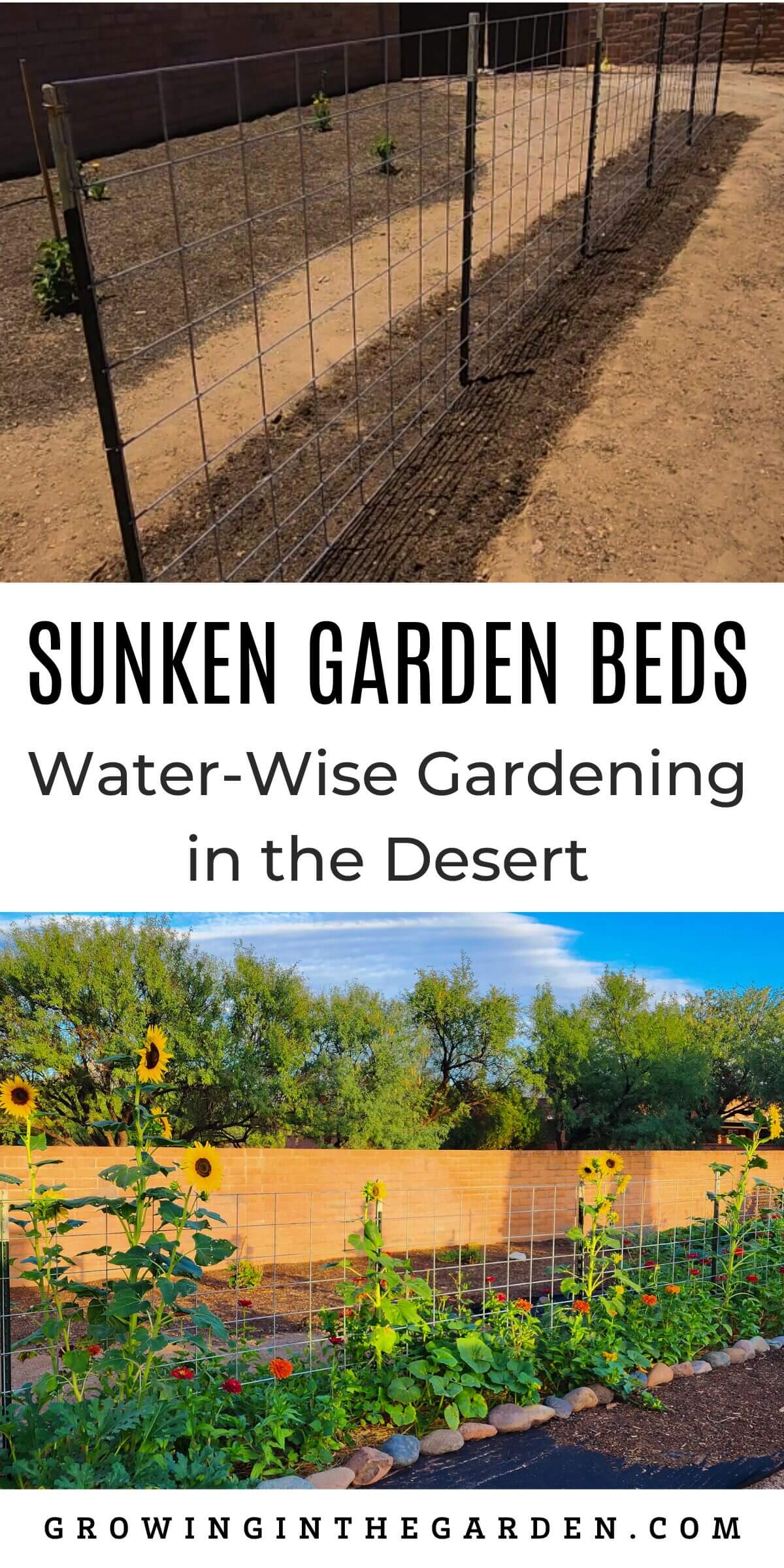 Sunken Garden Beds: Water-Wise Gardening in the Desert - Growing In The ...