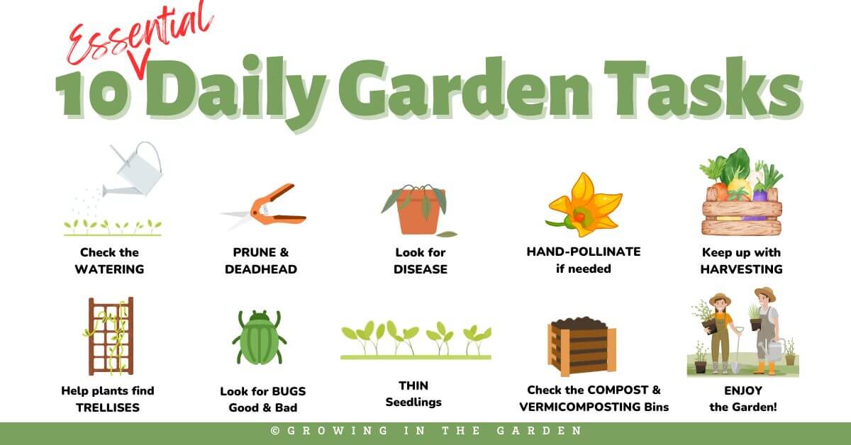 Daily Garden Checklist - Growing In The Garden