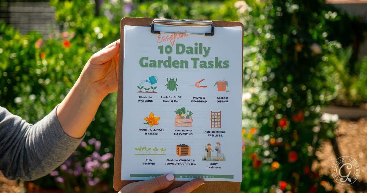 Daily Garden Checklist - Growing In The Garden