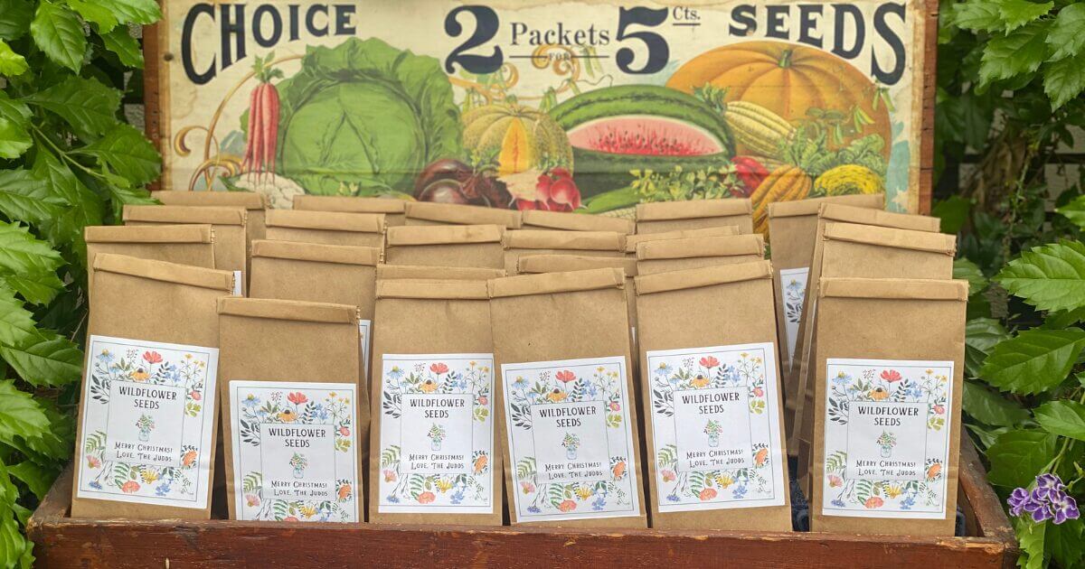 Holiday Neighbor Gift: Wildflower Seed Packets - Growing In The Garden