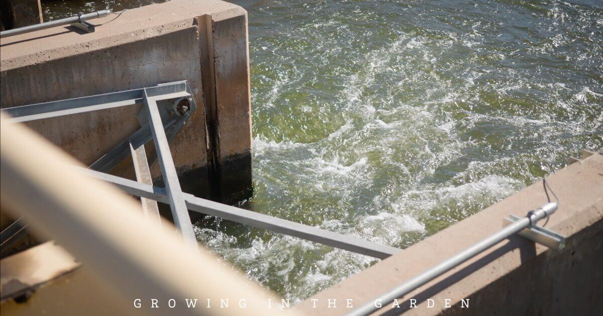 How to Water Your Garden With Flood Irrigation - Growing In The Garden