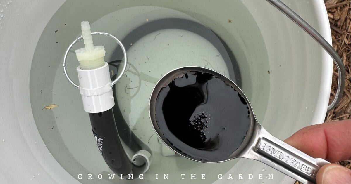 How & Why to Make Worm Castings Tea - Growing In The Garden