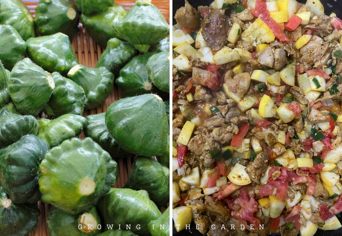 How to Grow Patty Pan Squash - Growing In The Garden