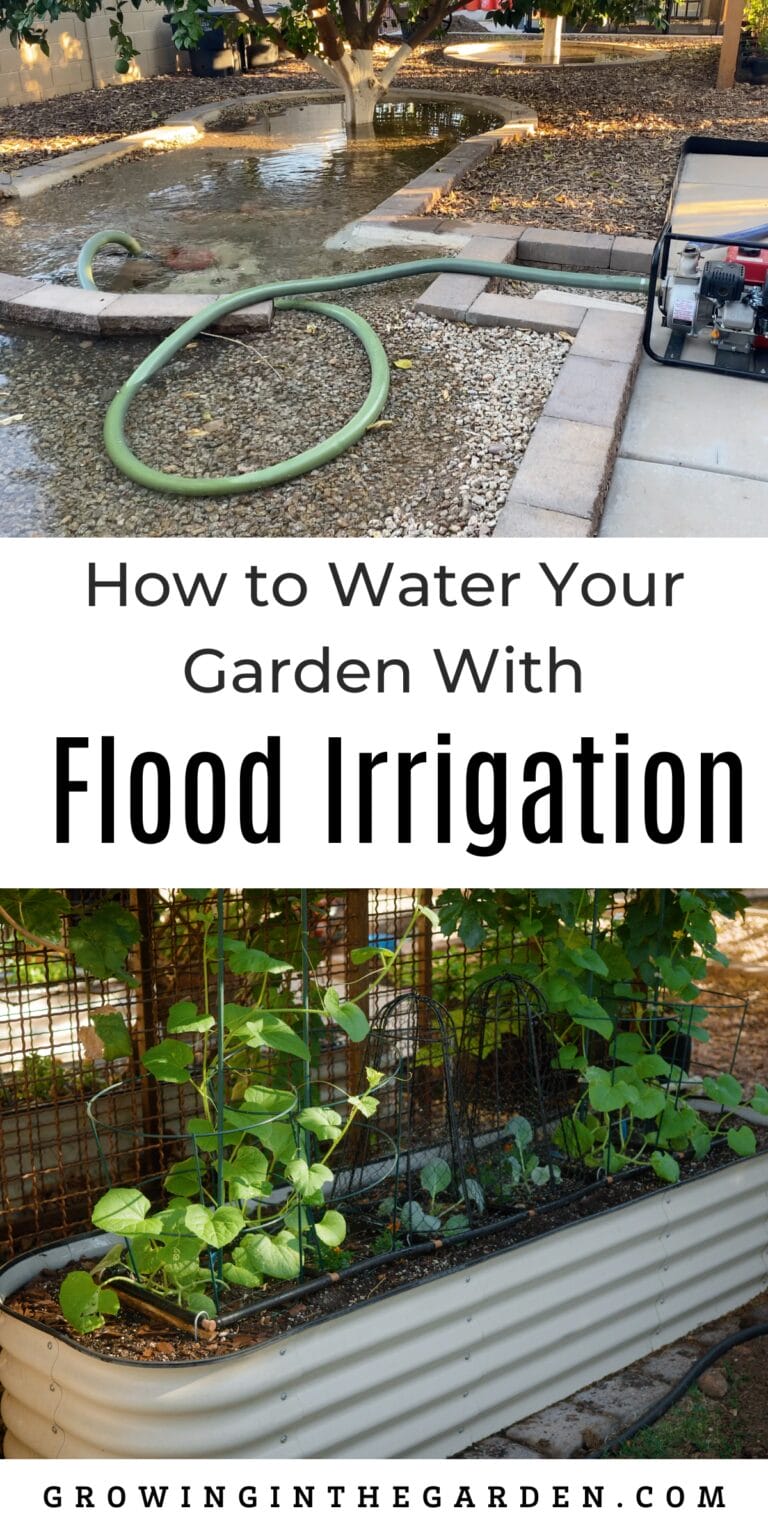 How to Water Your Garden With Flood Irrigation - Growing In The Garden