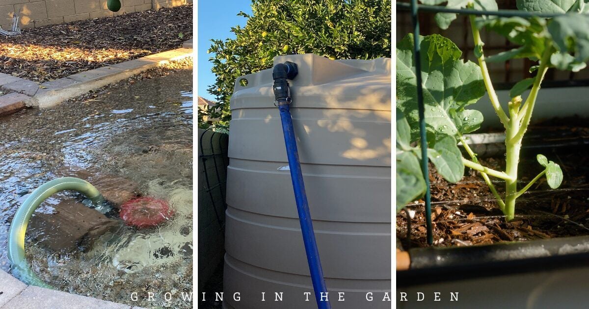How to Water Your Garden With Flood Irrigation - Growing In The Garden